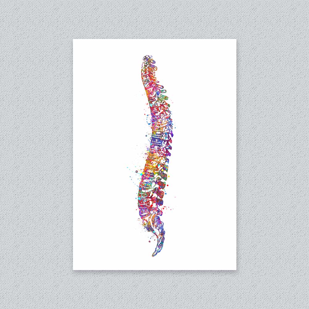 Vertebrae Spinal Cord Watercolour Print – Anatomical Wall Art – Genefy Art
