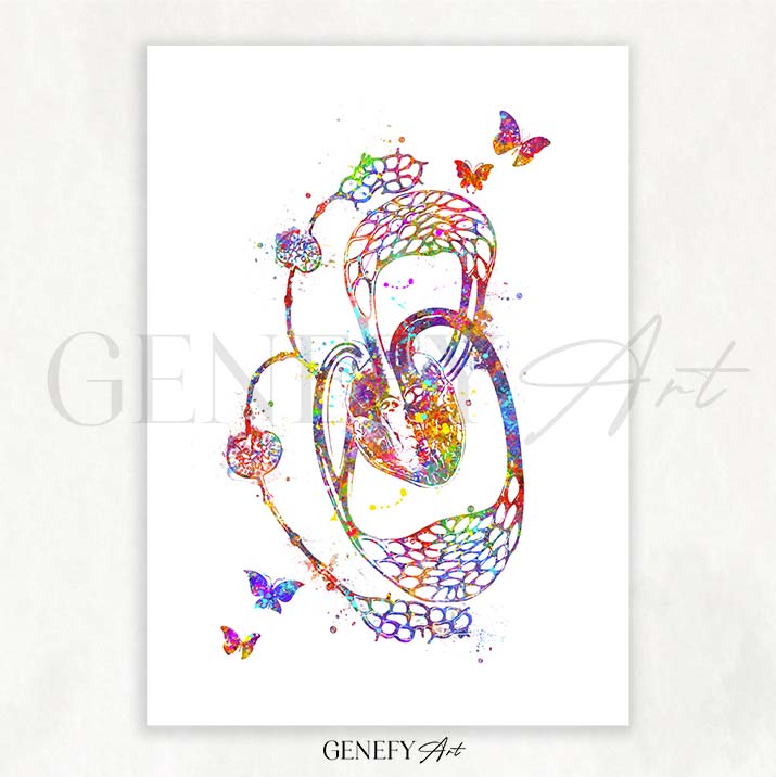 Lymphatic System Watercolour Art Print, Lymphatic System Prints Poster ...