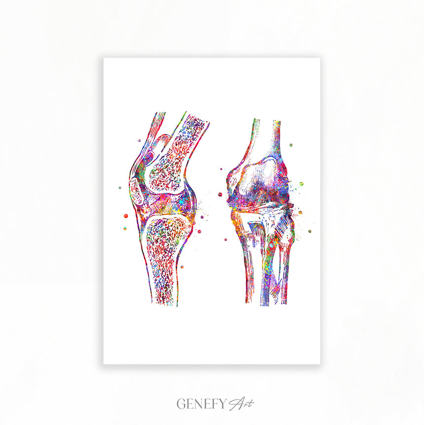 Knee Joint Bone Watercolour Print, Knee Joint Poster – Genefy Art